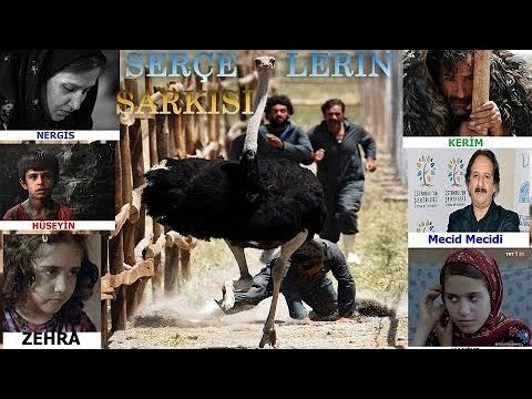 Serçelerin Şarkısı | İran filmi