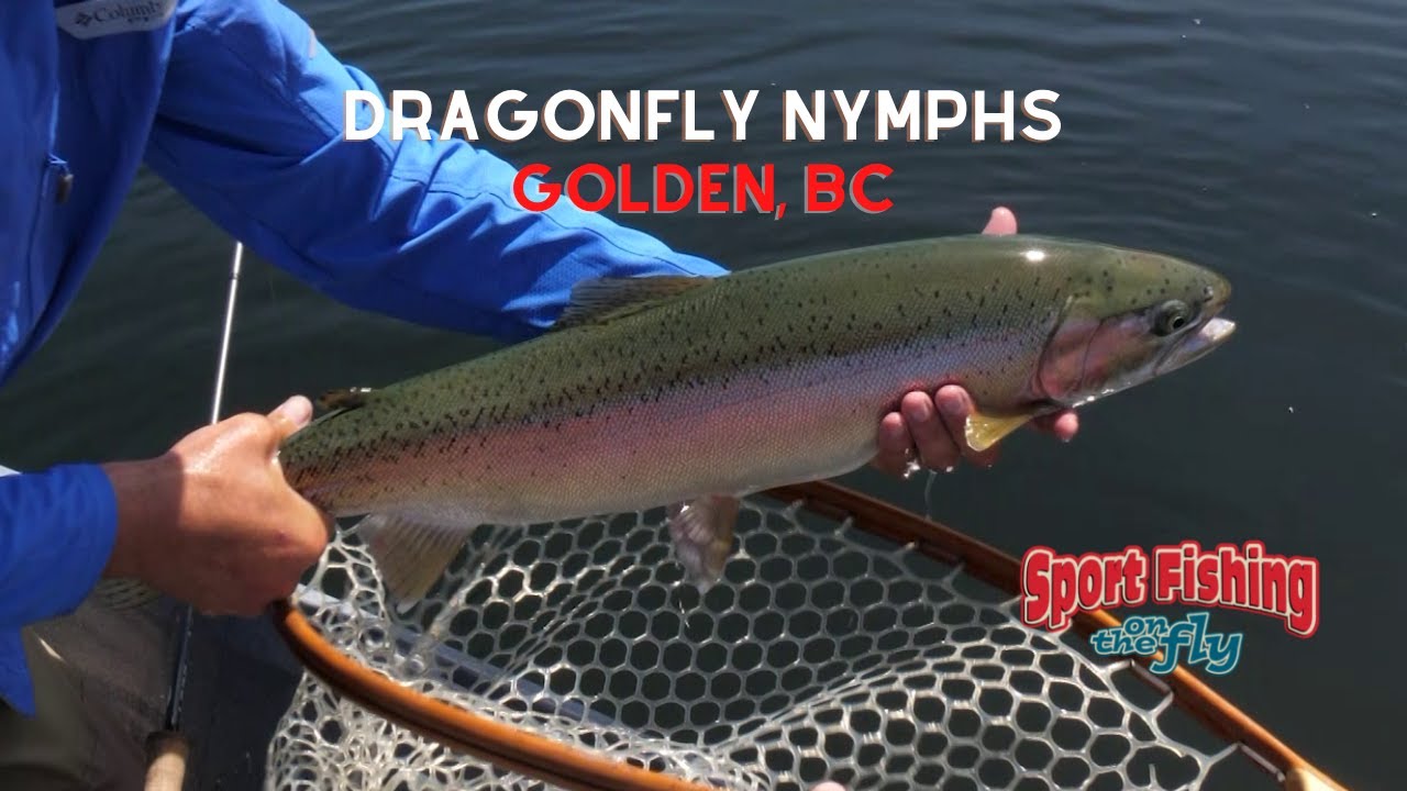 FLY FISHING: ATTRACTOR PATTERNS FOR LARGE RAINBOWS - YouTube