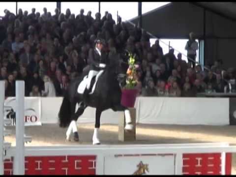 2014 VDL Stallion Show - Desperado with Emmelie Scholtens - YouTube