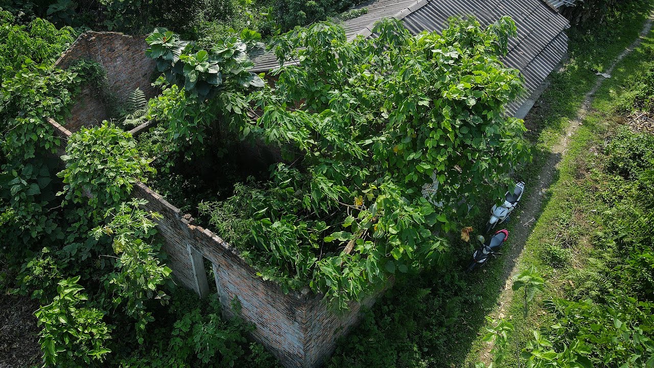 Full day 1 # Cleaning up an abandoned wartime prison with overgrown ...