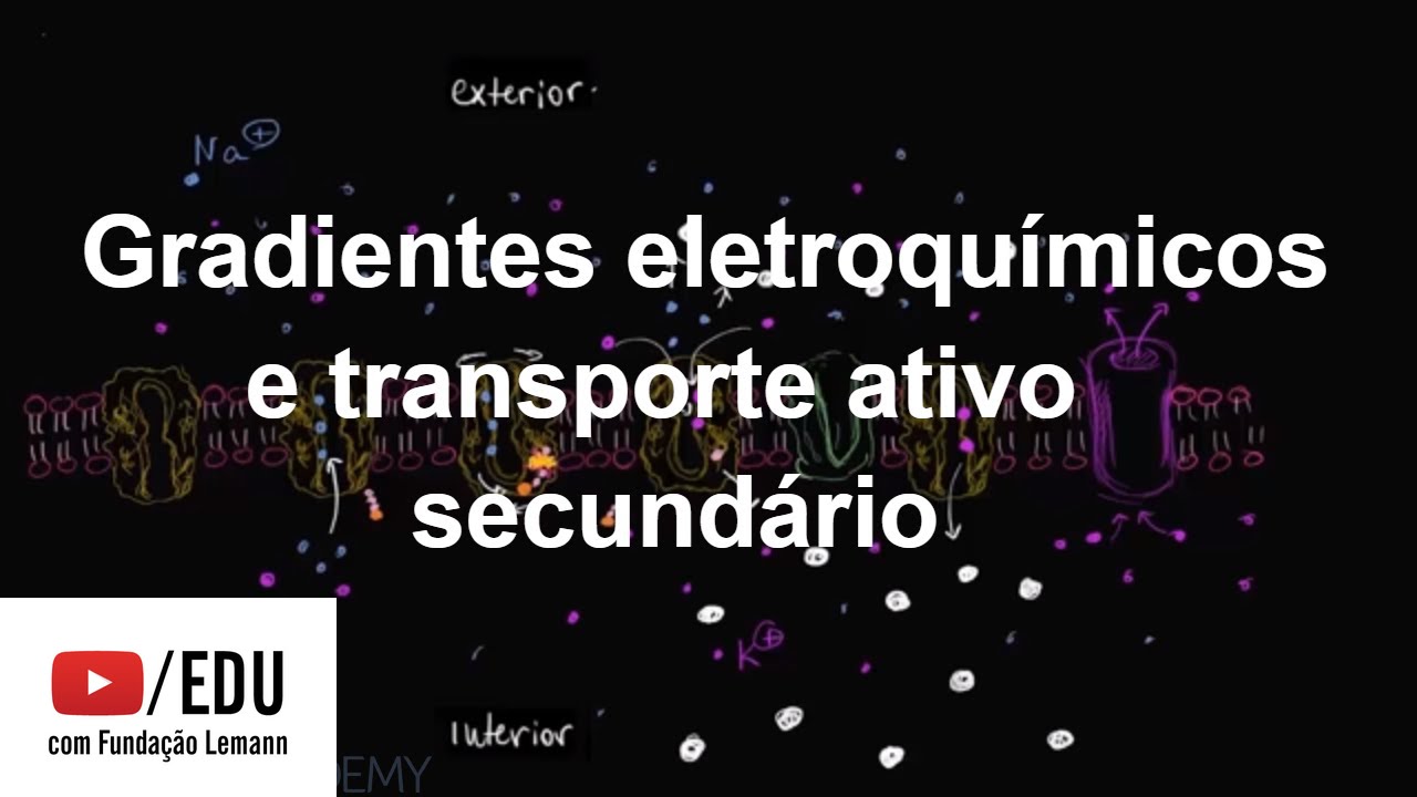 Gradientes eletroquímicos e transporte ativo secundário | Membranas e ...