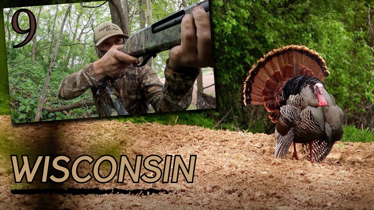 Wisconsin Turkey Hunt - YouTube