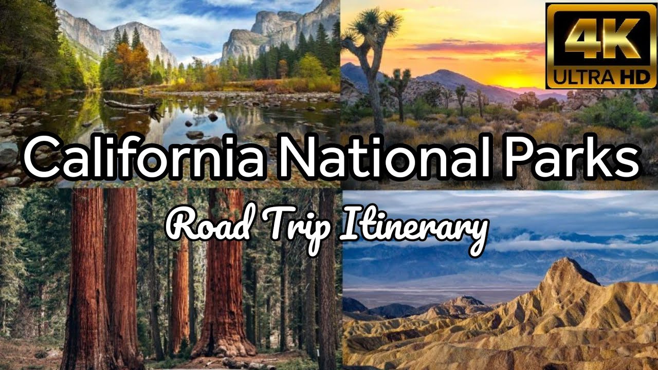How to Visit all California National Parks in one Road Trip - Including ...