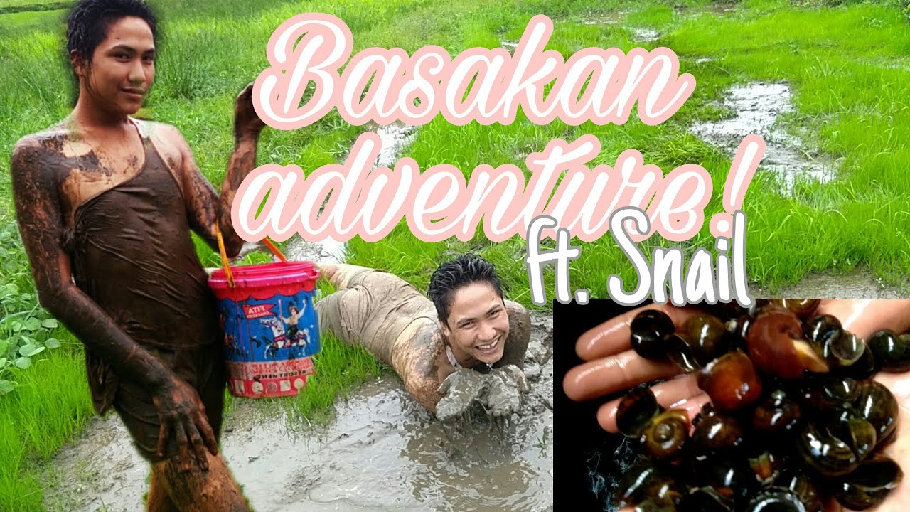 NANGUHA KAMI NG KUHOL SA BASAKAN |IT'S MORE FUN|SA PALAYAN - YouTube