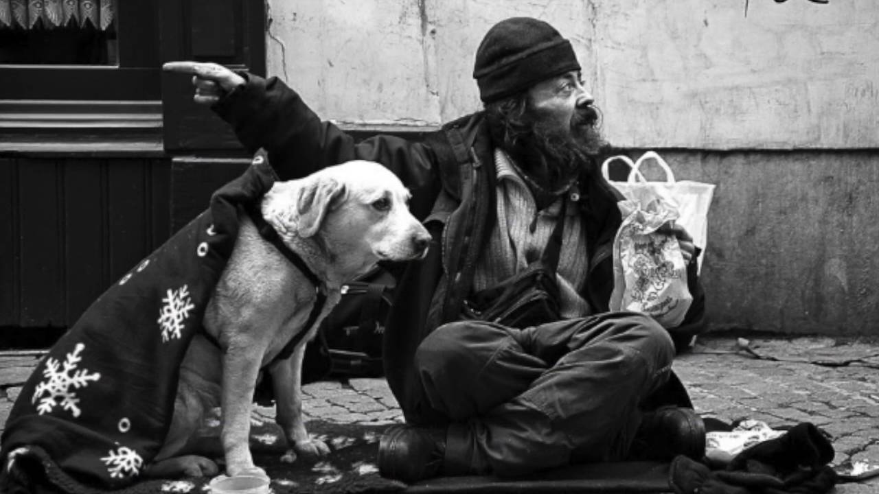 Juliette Pisano, Shane Ware, & Hayley Posner: We Are All Part Of The ...