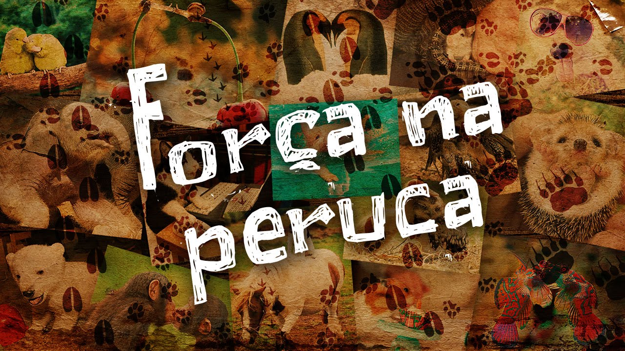 Força na peruca - YouTube
