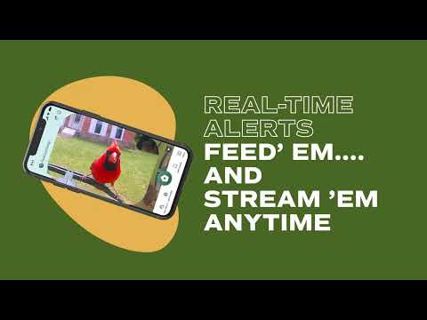 5 Reasons You Need the FeatherSnap App 🖐️🐦