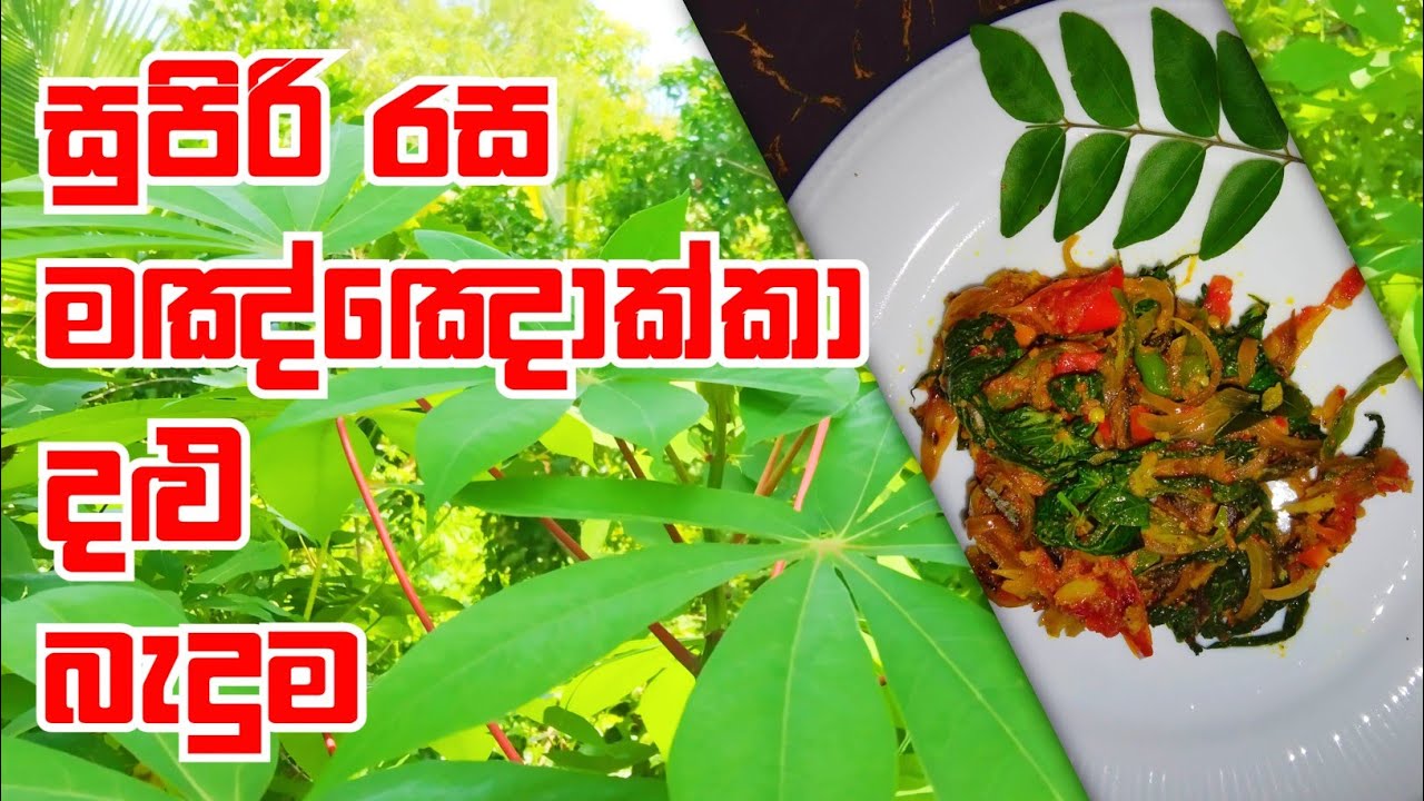 මඤ්ඤොක්කා දළු බැදුම | manghokka dalu baduma - YouTube