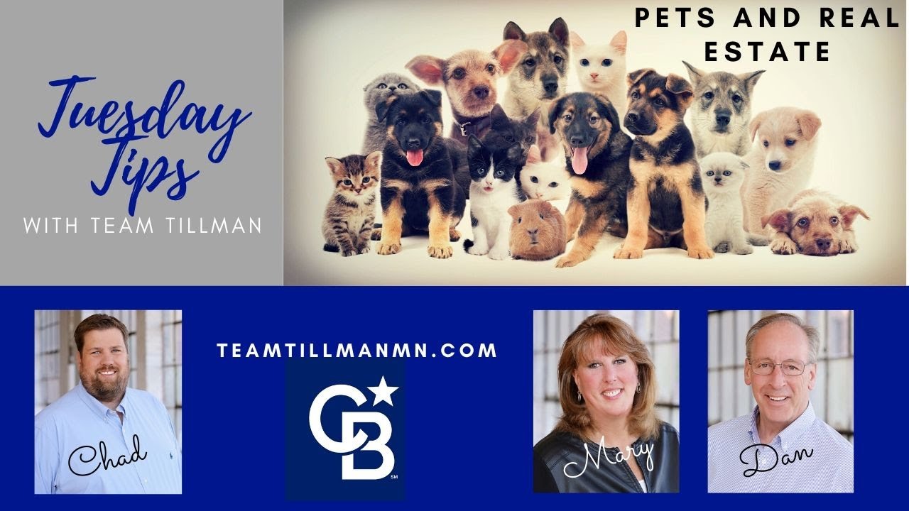 Tuesday Tips with Team Tillman - Pets - YouTube