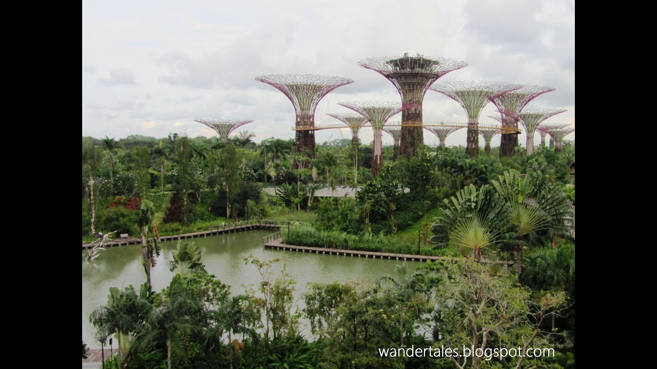 Dragonfly Lake & Supertrees, Gardens by the Bay Singapore - YouTube