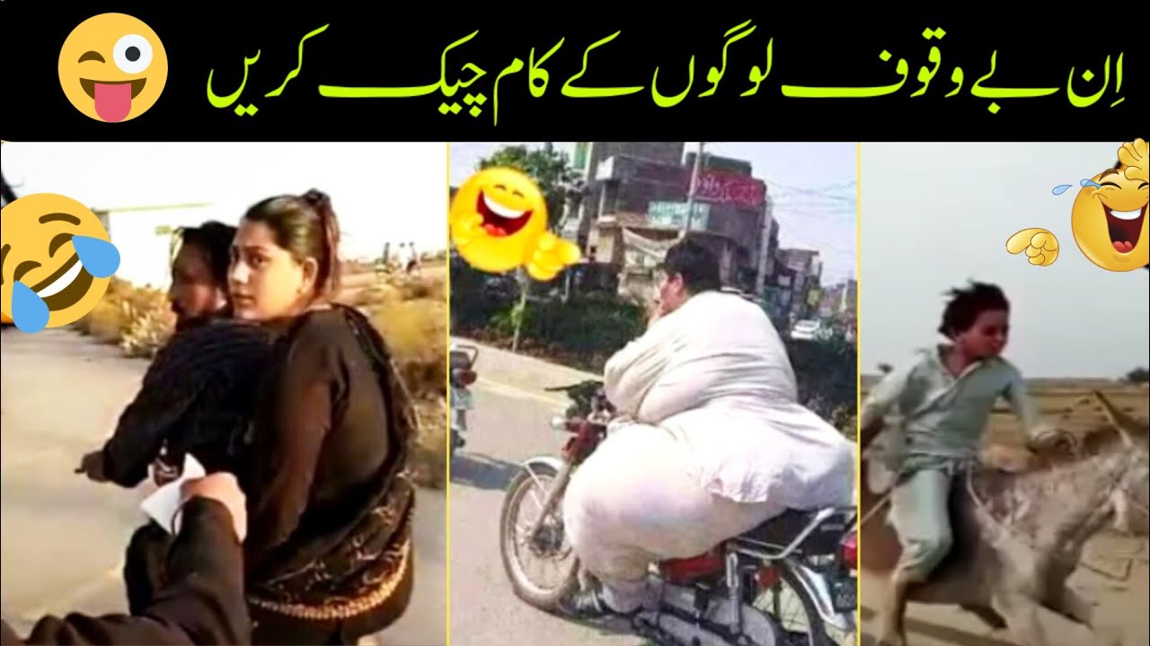 funny videos that make you laugh 💫😅 | funny videos - YouTube