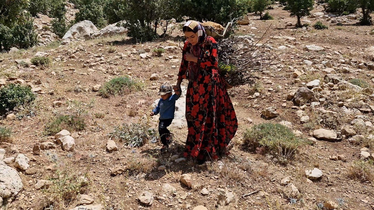 A nomadic widow: the struggle for her child's survival in the mountains from fire to cooking ...