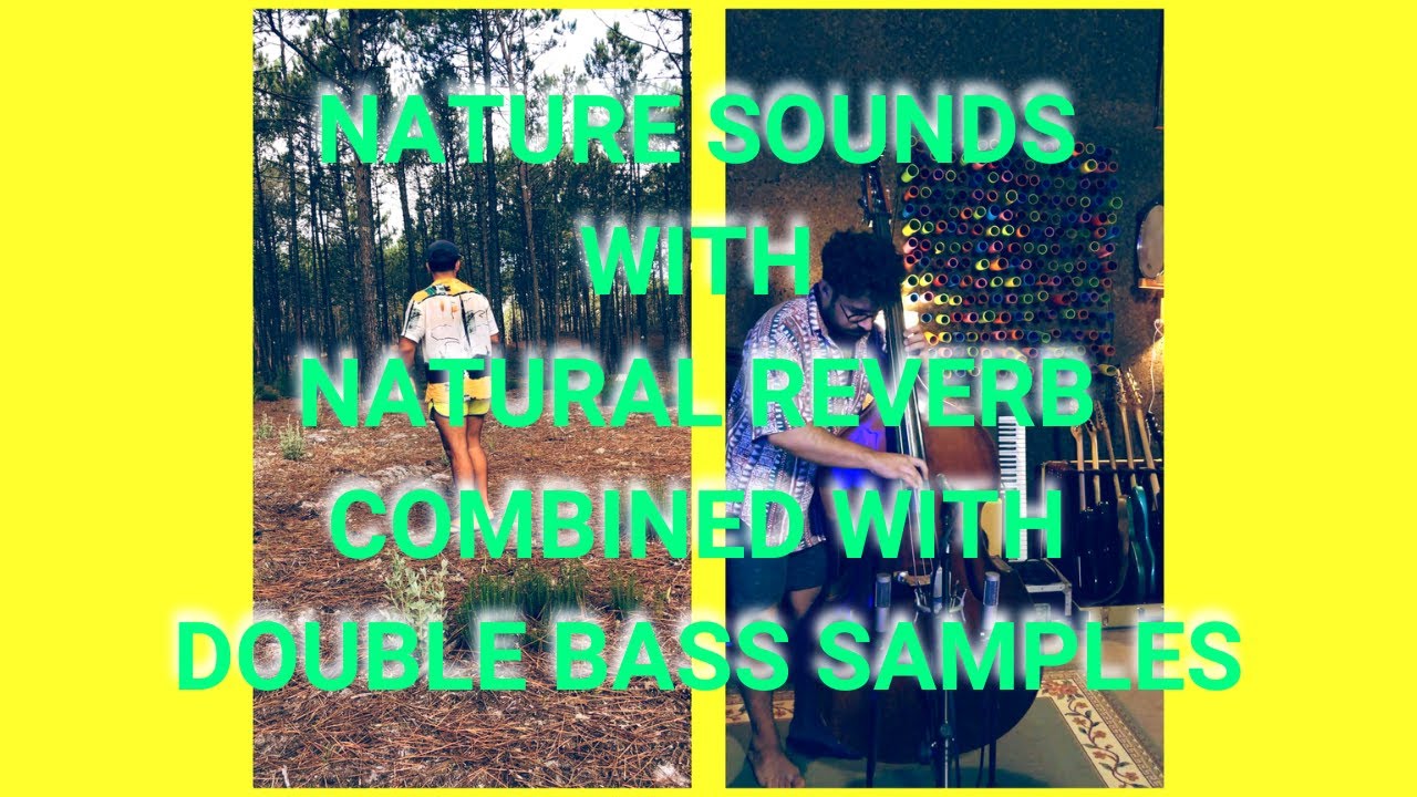 NATURE SOUNDS WITH NATURAL REVERB COMBINED WITH DOUBLE BASS SAMPLES ...