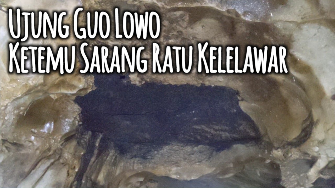 Explore Goa Lowo Trenggalek Full Sampai Pusat Sarang Kelelawar - YouTube