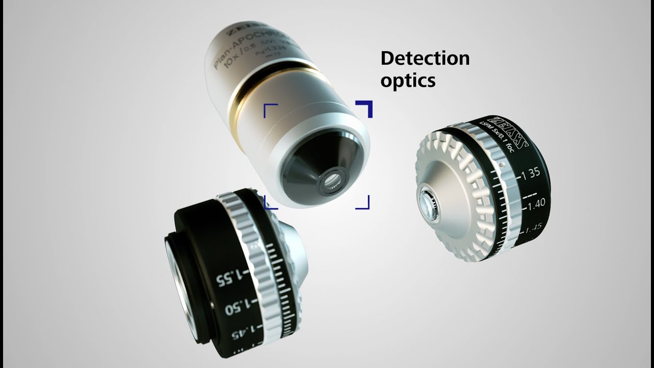 ZEISS Lightsheet 7 - Beam Path Animation - YouTube