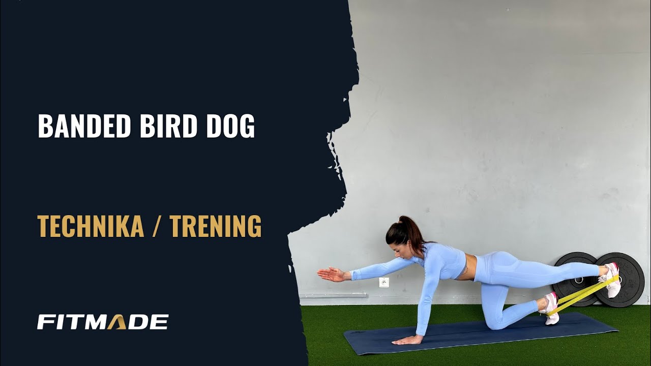 Banded bird dog - Ćwiczenie / Trening z gumą oporową dla Kobiet | Plany ...