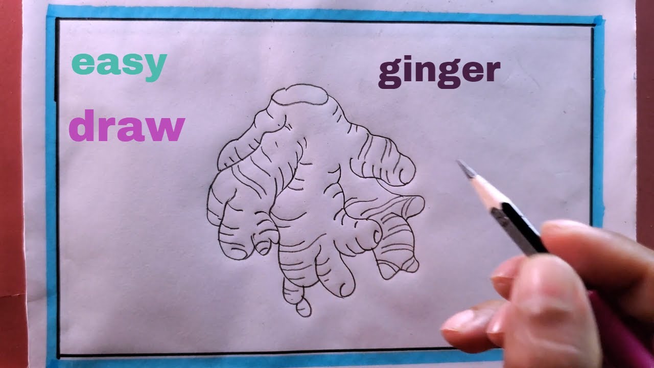 Ginger Drawing Step By Step