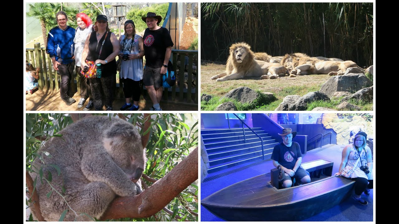 So many animals - 25th April, 2016 : Motorhome Adventure - YouTube