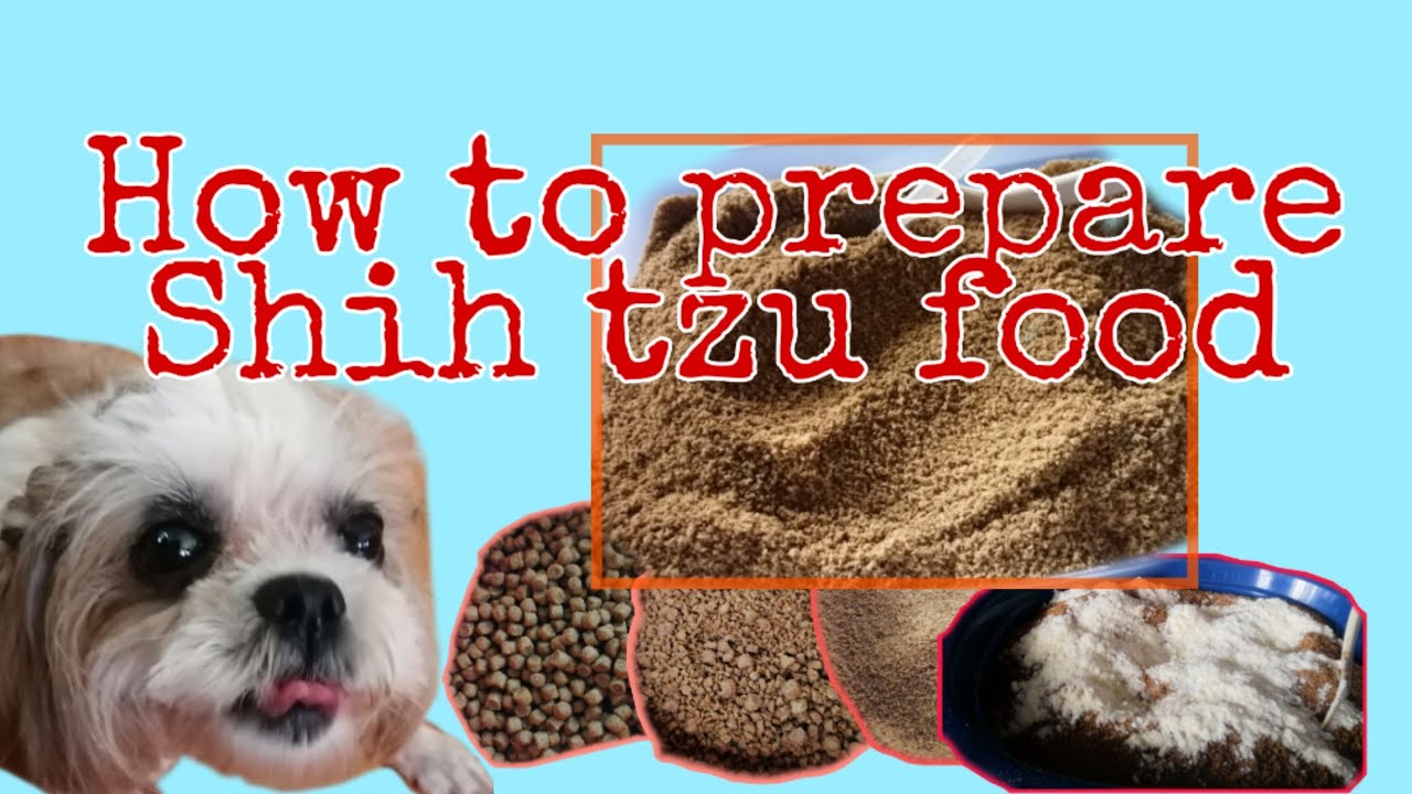 How to prepare foods for shih tzu - YouTube