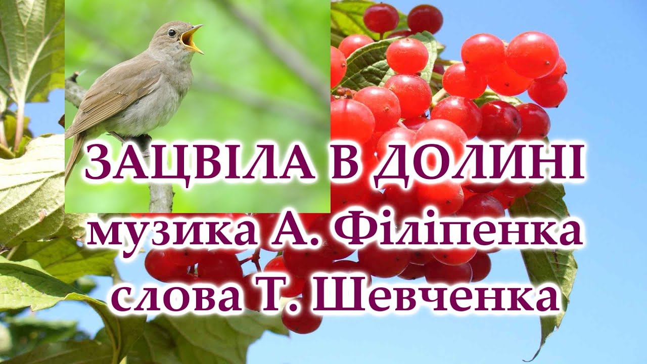 Зацвіла в долині червона калина пісня на слова Тараса Шевченка Youtube