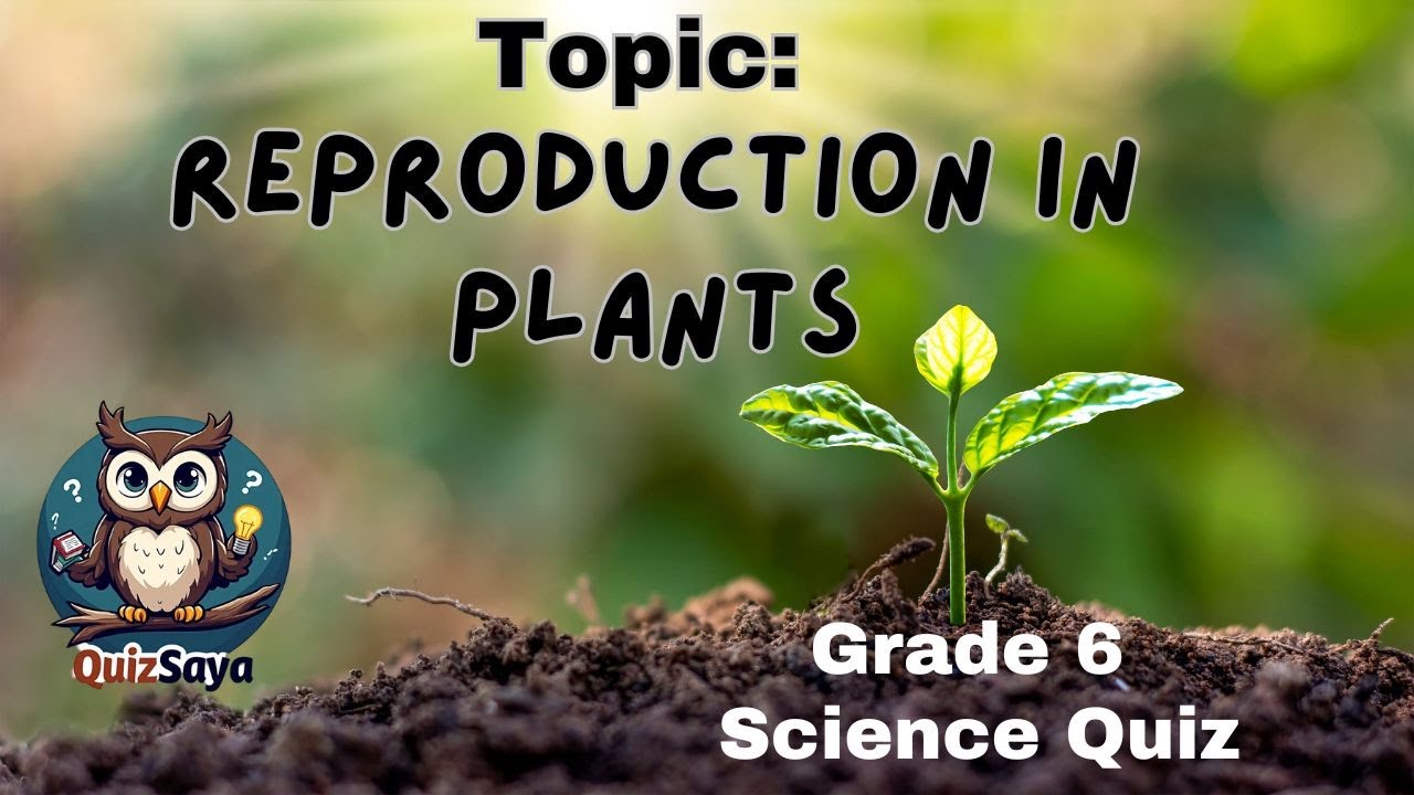 Test Your Knowledge on Plant Reproduction : Grade 6 Science Quiz - YouTube