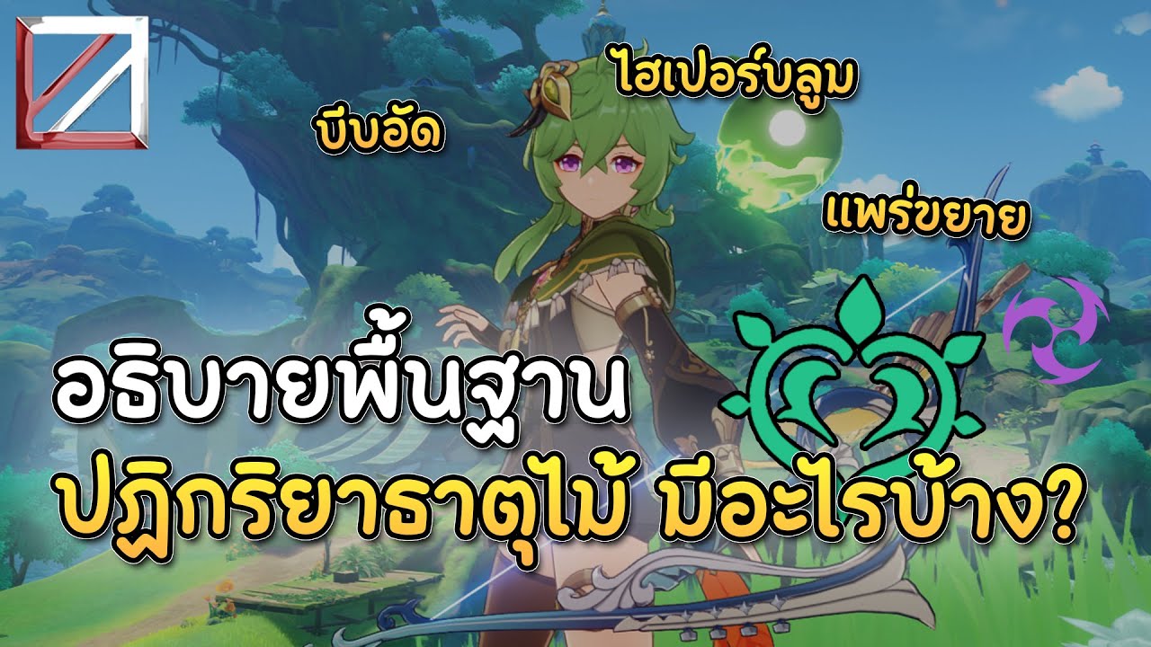 อธิบายพื้นฐาน ปฏิกริยาธาตุไม้ มีอะไรบ้าง? บีบอัด แพร่ขยาย และอื่นๆ ...