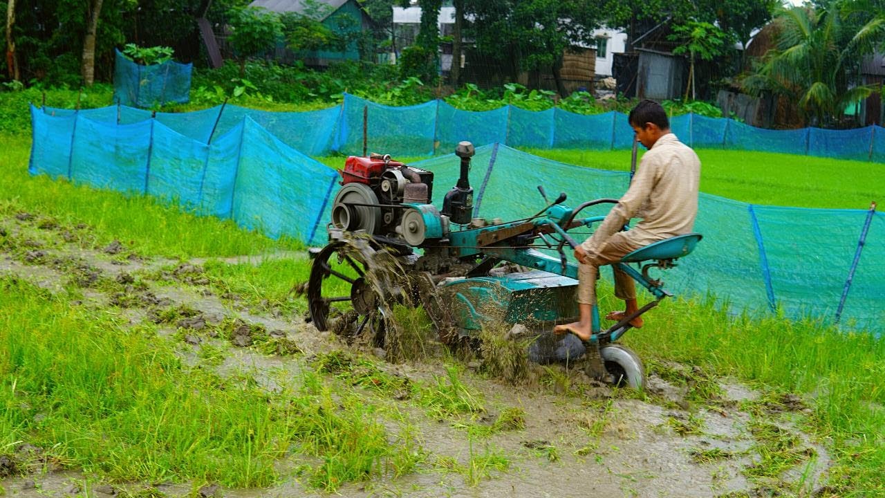 Rainy day village Paddy field tractor plowing little boys Really Paddy ...