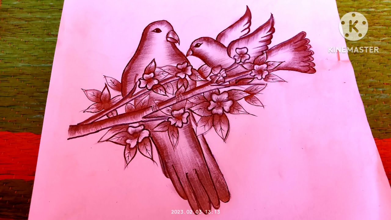 How To Drow Birds//Birds drawing step by step//Pencil Sketch Drowing ...