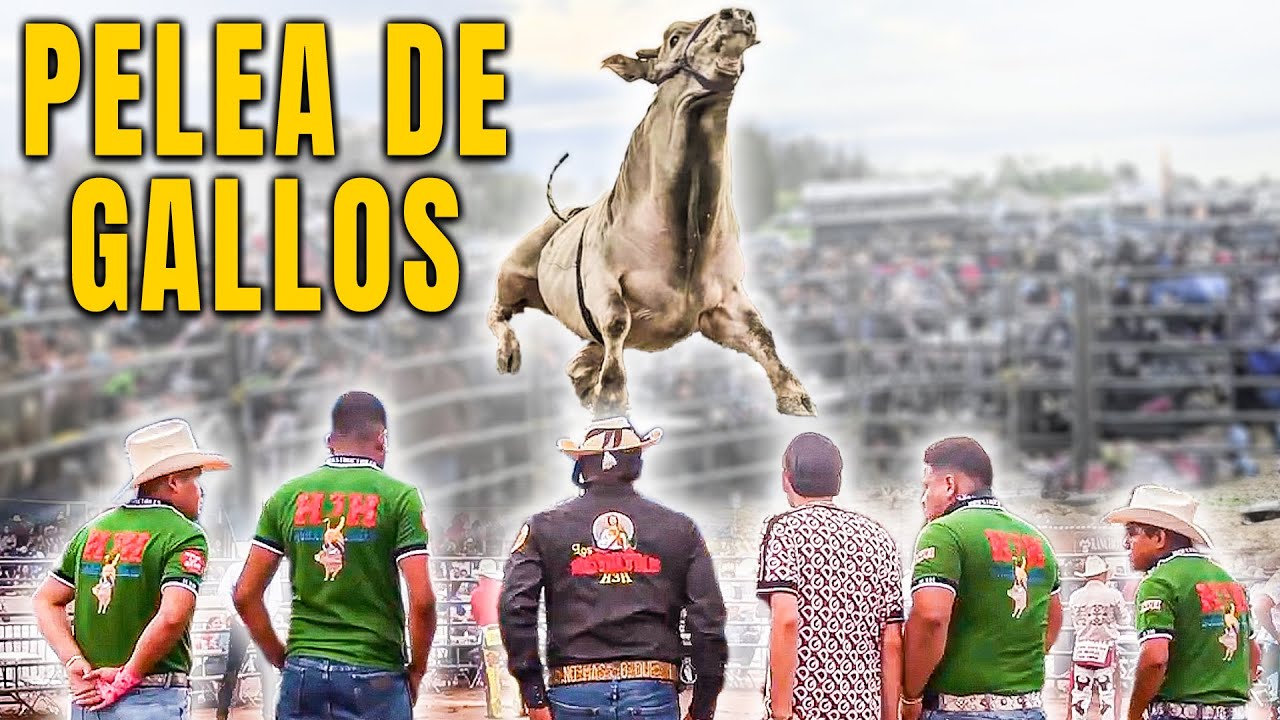 EXTRAORDINARIO TORO DE RANCHO H3H || Phoenix Arizona - YouTube