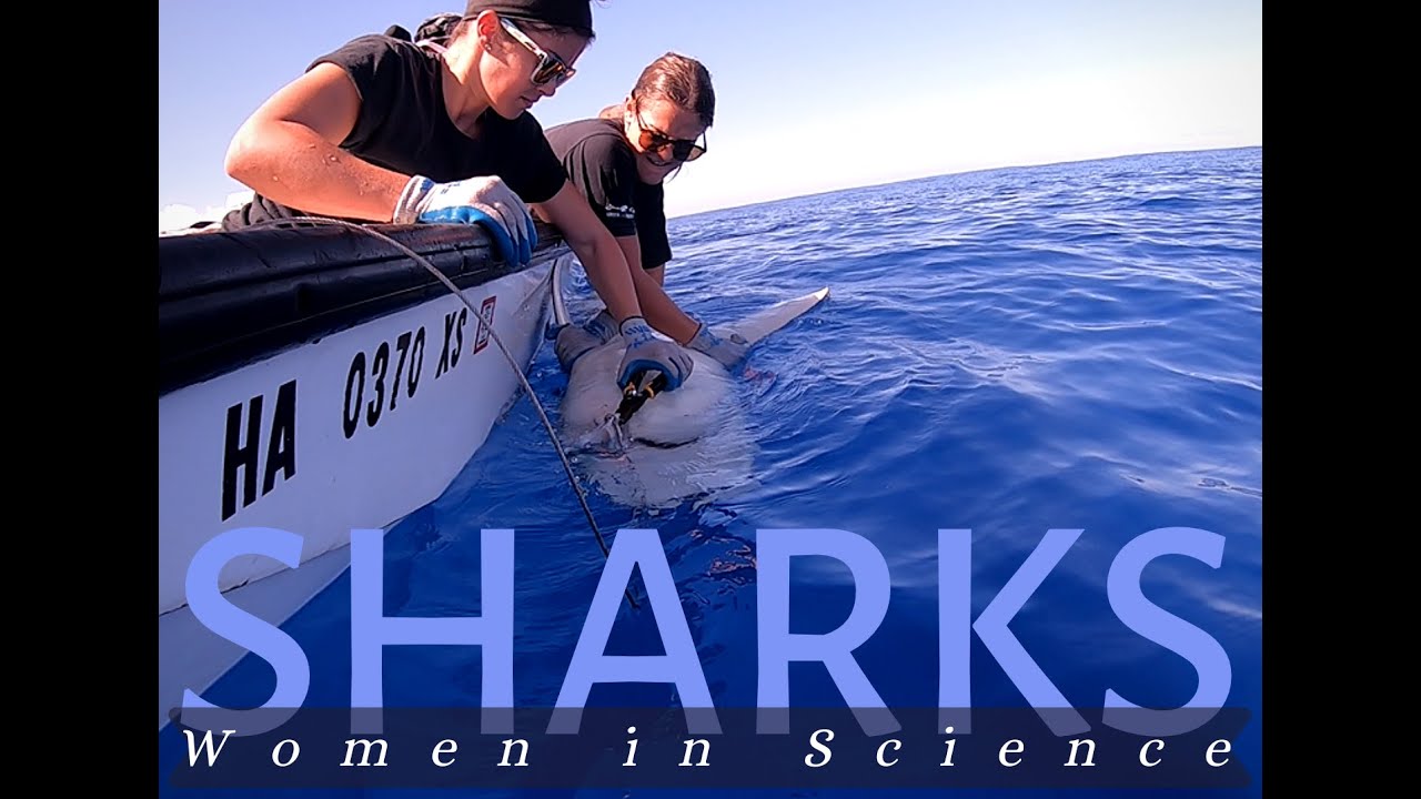 LIFE AS A MARINE BIOLOGIST: Channel Sneak Peek - YouTube