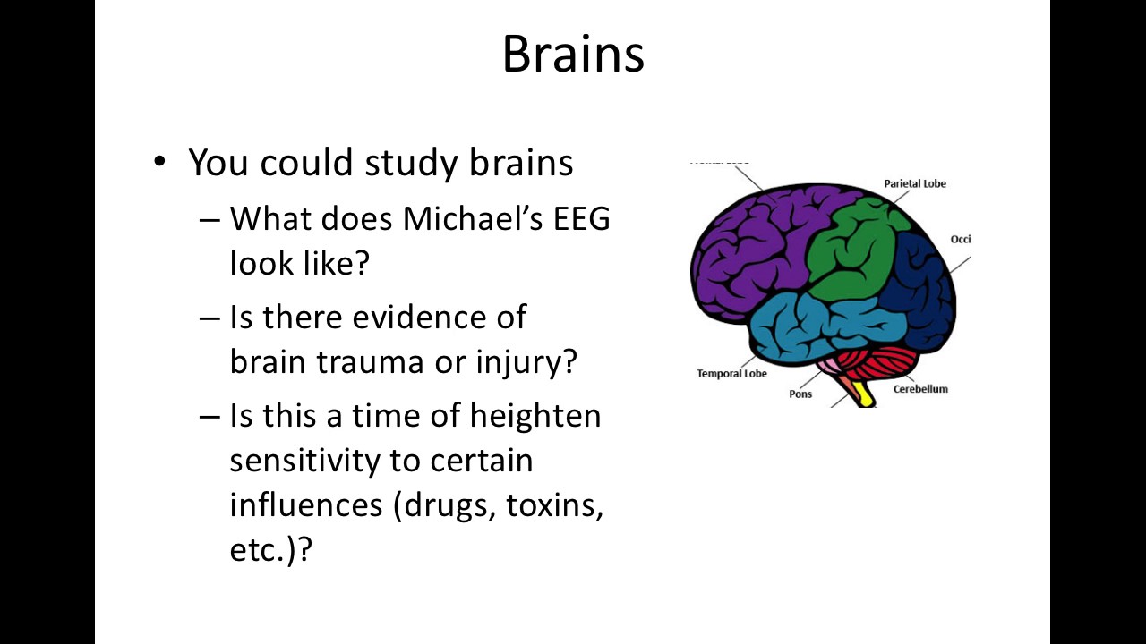 Levels Of Analysis YouTube levels-of-analysis-youtube