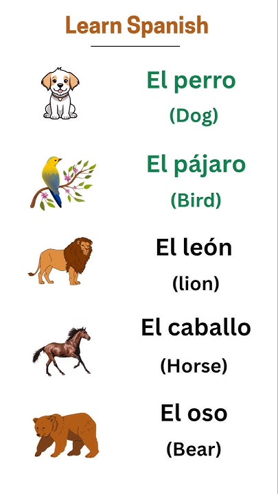 Animal Names In Spanish #beginners #animals #shorts #youtube # ...