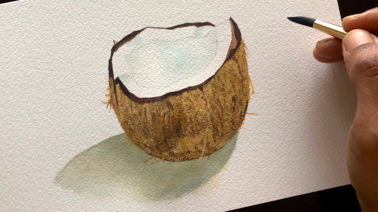 Painting A Realistic Coconut | Step By Step Detailed Watercolor ...