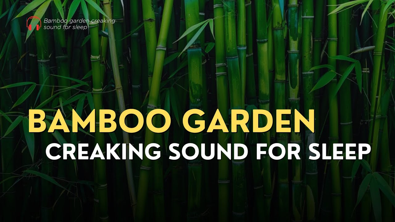 Bamboo Garden Creaking Sounds for Sleep | Relaxing Nature Ambience ...