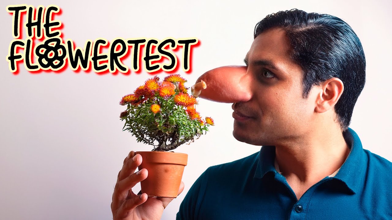 O ME CONTRATAN O ME MATAN, LA DURA VIDA DEL FLORISTA | THE FLOWERTEST ...
