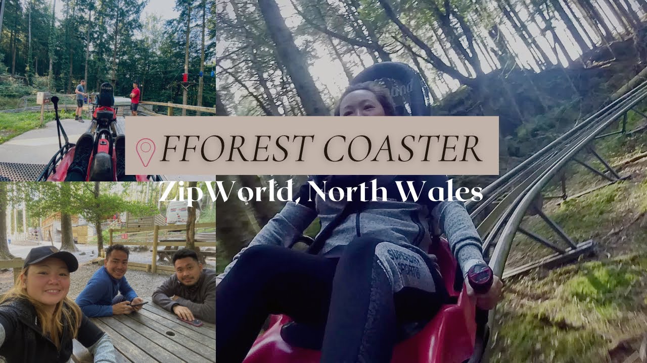 ZIP WORLD FFOREST COASTER | North Wales Adventure| CORRdapya TV - YouTube