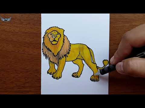 Kolay aslan çizimi - aslan nasıl çizilir - hayvan çizimi