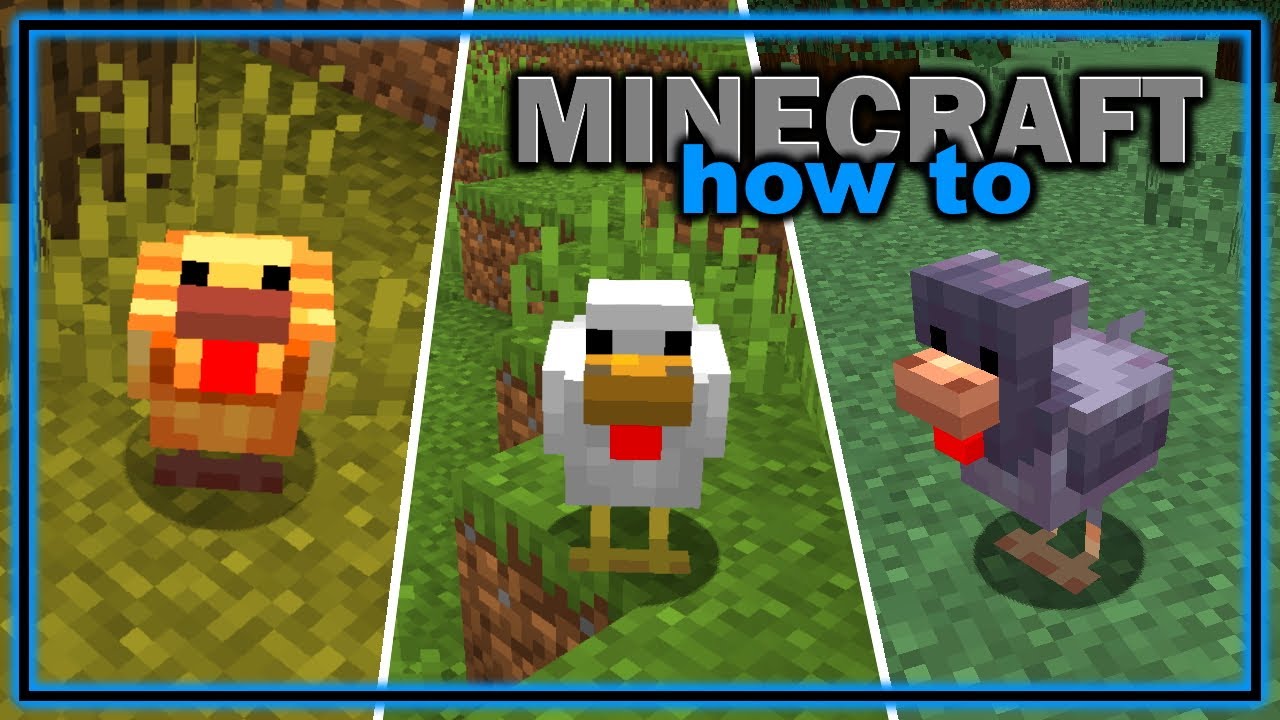 Everything You Need to Know About the Chicken (1.21.5+) | Easy ...