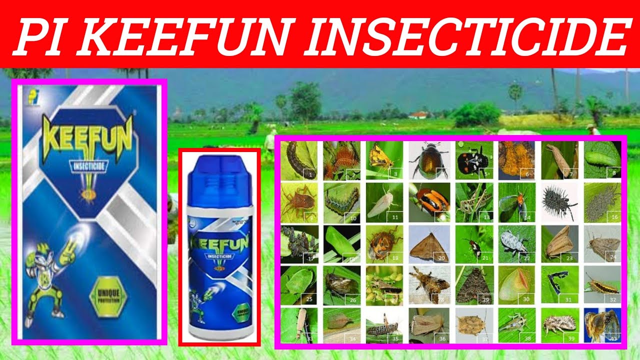 PI Keefun Agriculture Insecticide, Bottle, 500ml, 59% OFF