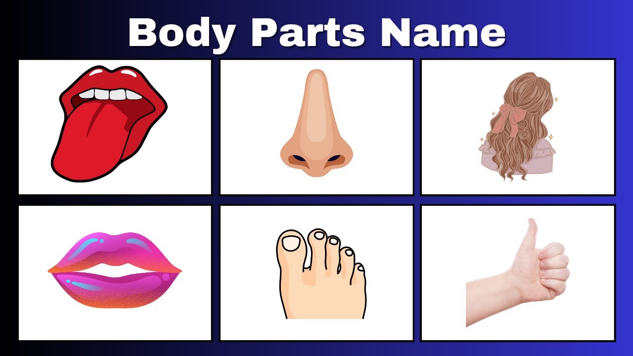20 Body Parts Name in English | Human Body Parts Name | Learn Body ...