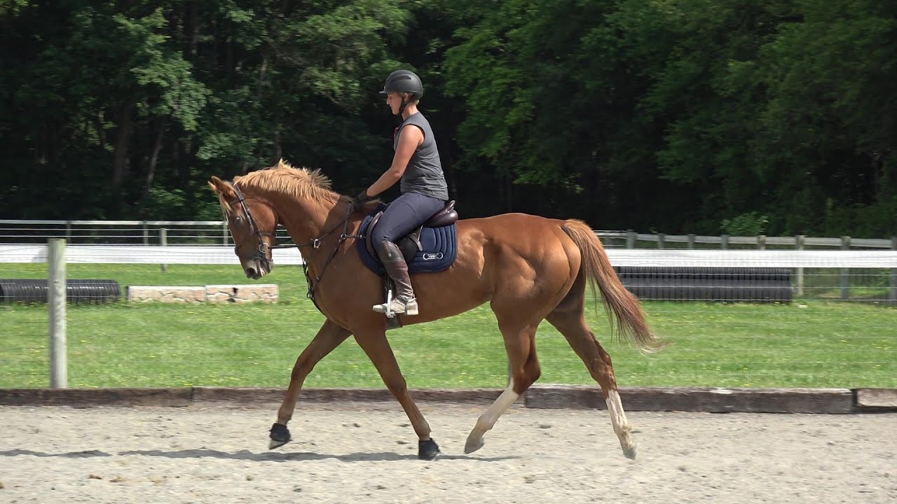 American Lad 2nd ride 6 3 24 - YouTube