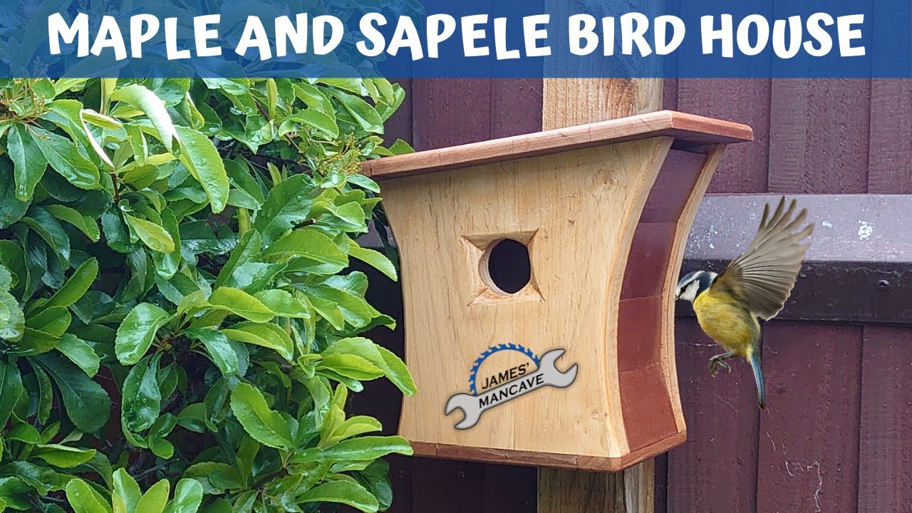 Scoutcrafter Bird House Challenge - (just a bit of fun) - YouTube