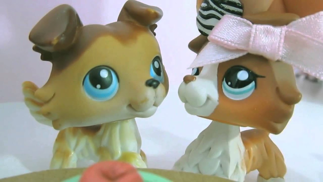 LPS Popular (Fanmade Intro/Music Video) (For Sophiegtv :D) - YouTube