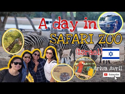 Zoo Safari Adventure @ Israel - YouTube