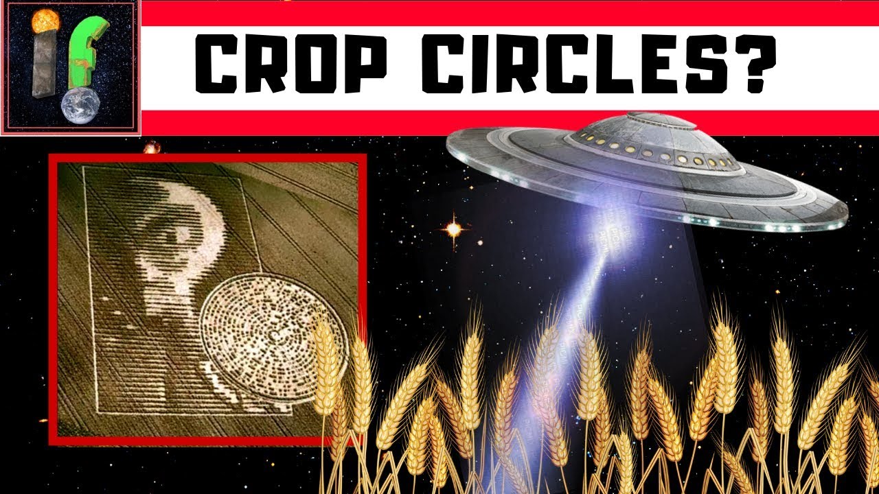 Crop Circles a hidden message? - YouTube