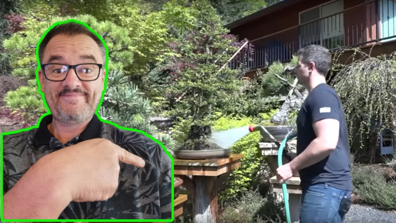 ARROSER ses BONSAÏ avec RYAN NEIL - YouTube