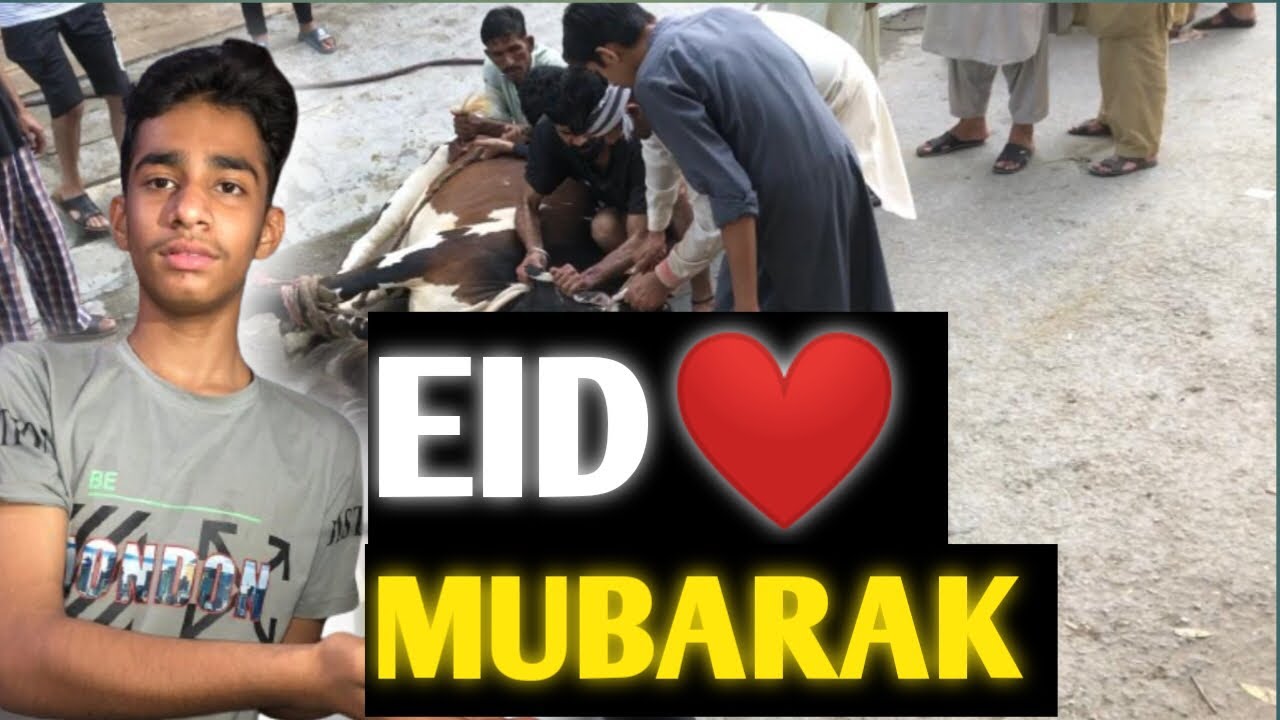 Eid mubarak vlog m usman vlog - YouTube