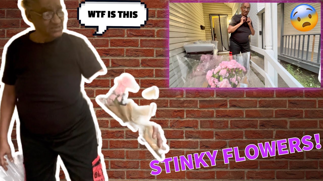 FLOWER FART SPRAY PRANK!(HILARIOUS) - YouTube