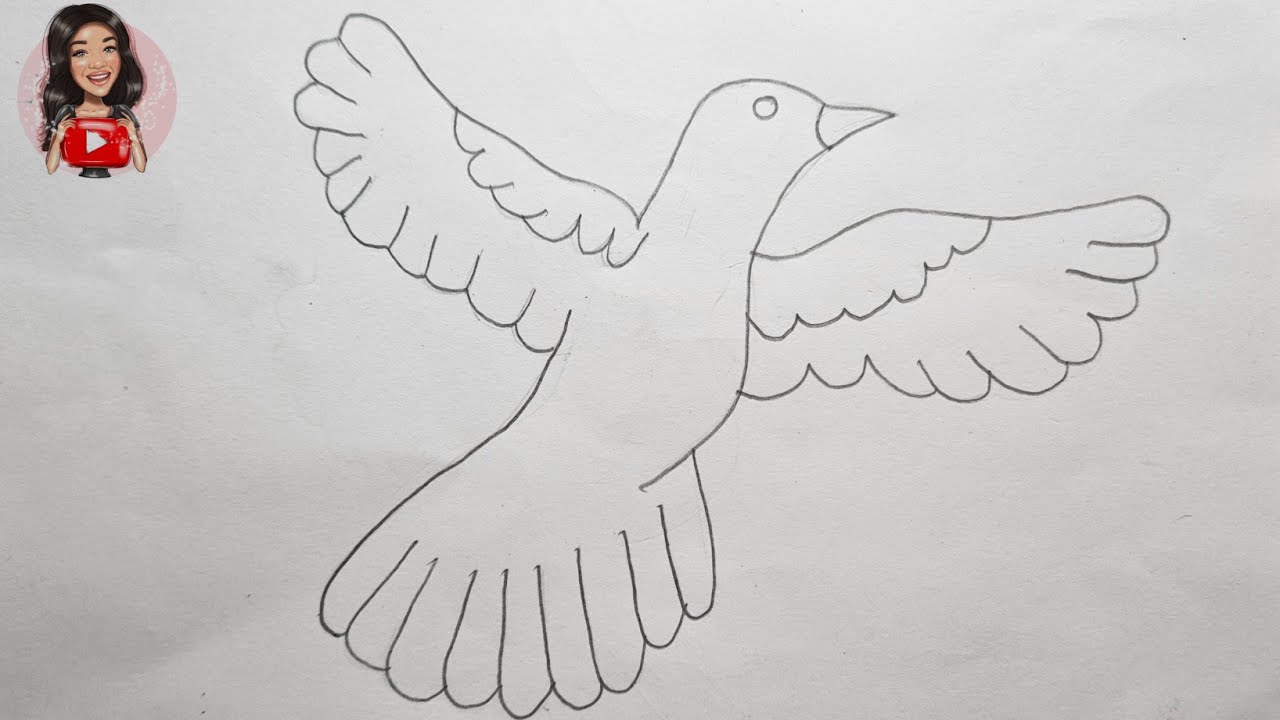 Easy Bird drawing / How to draw a flying bird - YouTube