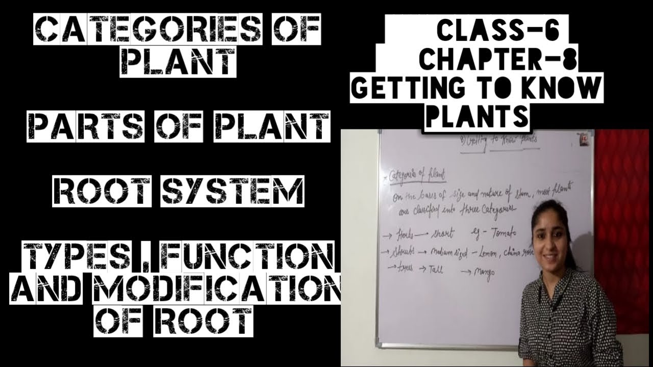 CLASS-6||CHAPTER-8||GETTING TO KNOW PLANTS - YouTube